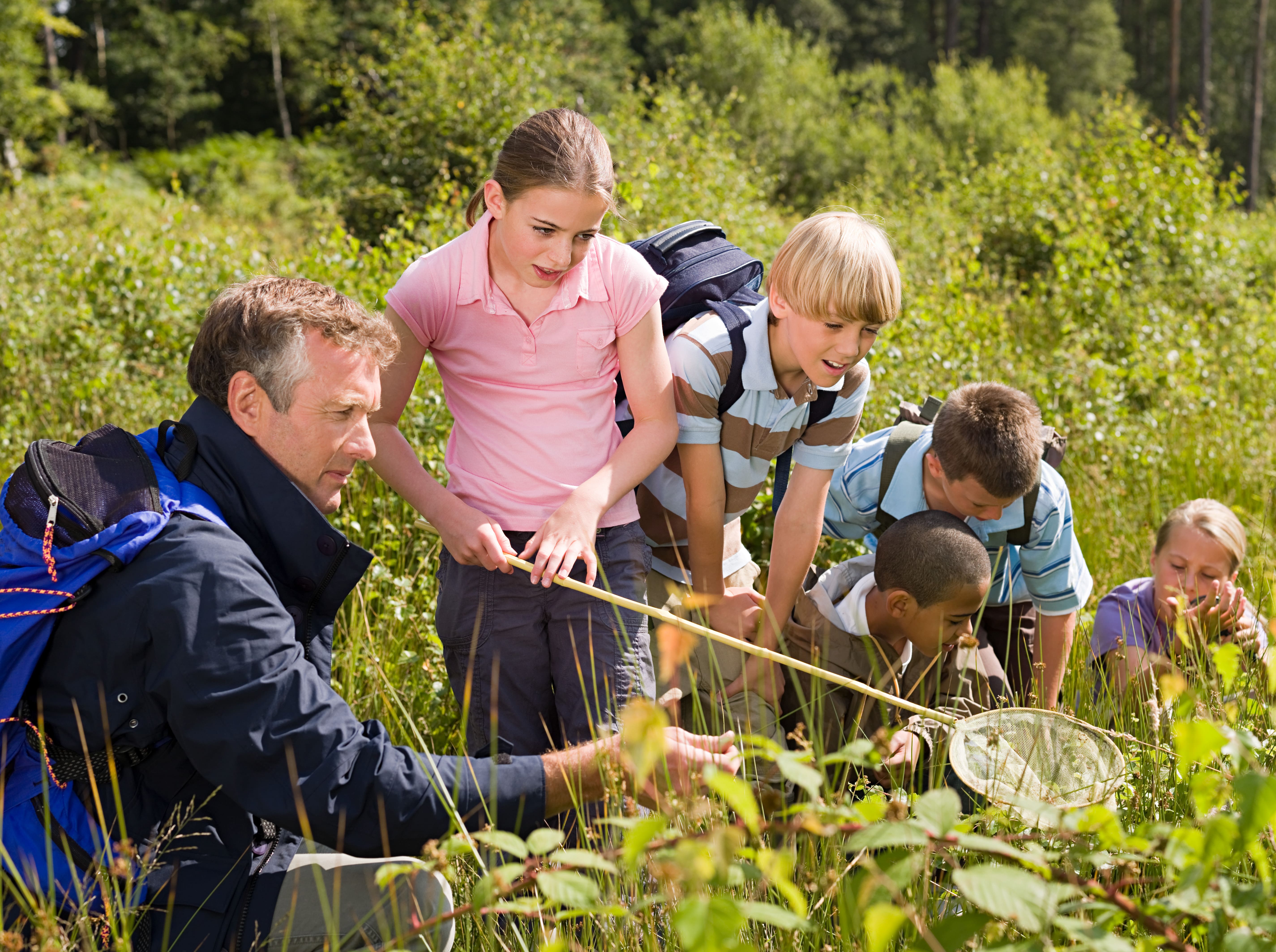 Staying Safe at Forest School: First Aid Requirements for Practitioners