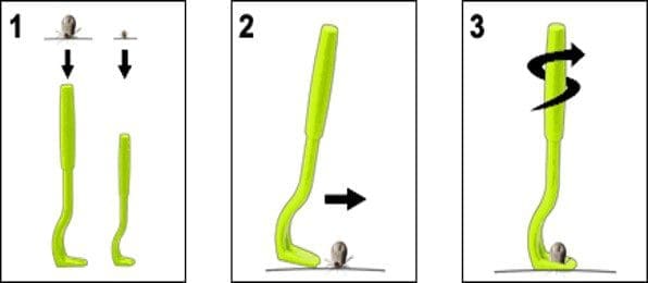 Ticks and Lyme Disease