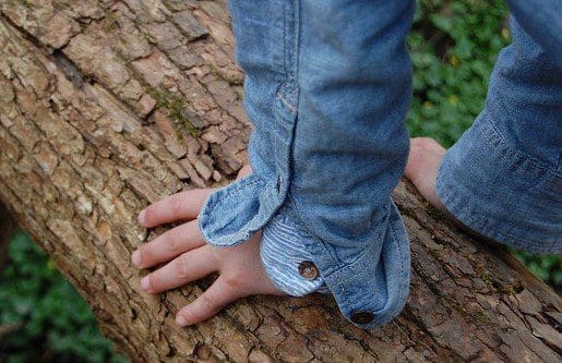 First Aid For Tree Climbing Children - First Aid Training Cooperative